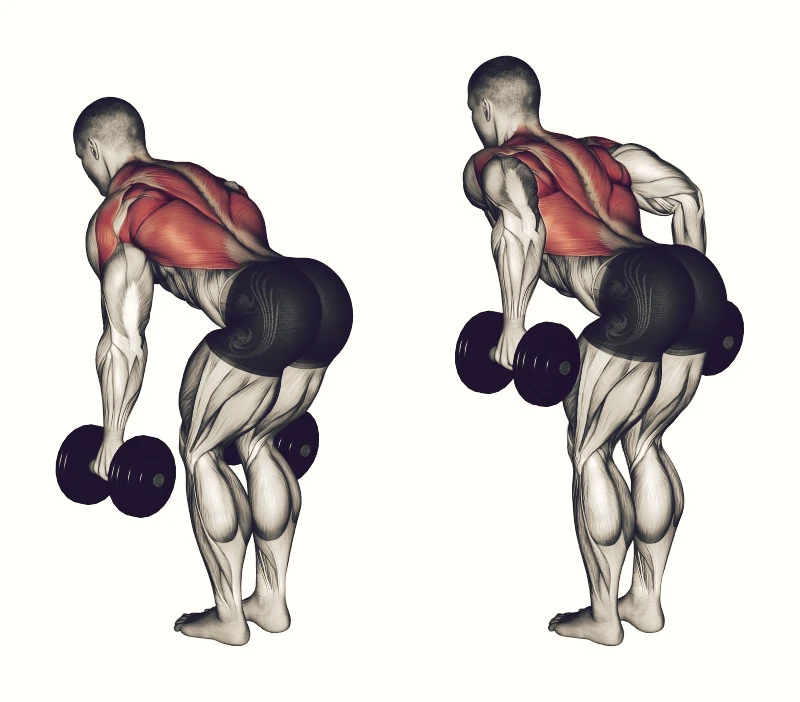 Allenamento con i Manubri: I 15 Esercizi Più Efficaci per Tutto il ...