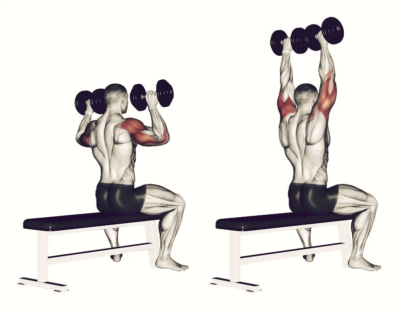 Allenamento con i Manubri: I 15 Esercizi Più Efficaci per Tutto il ...